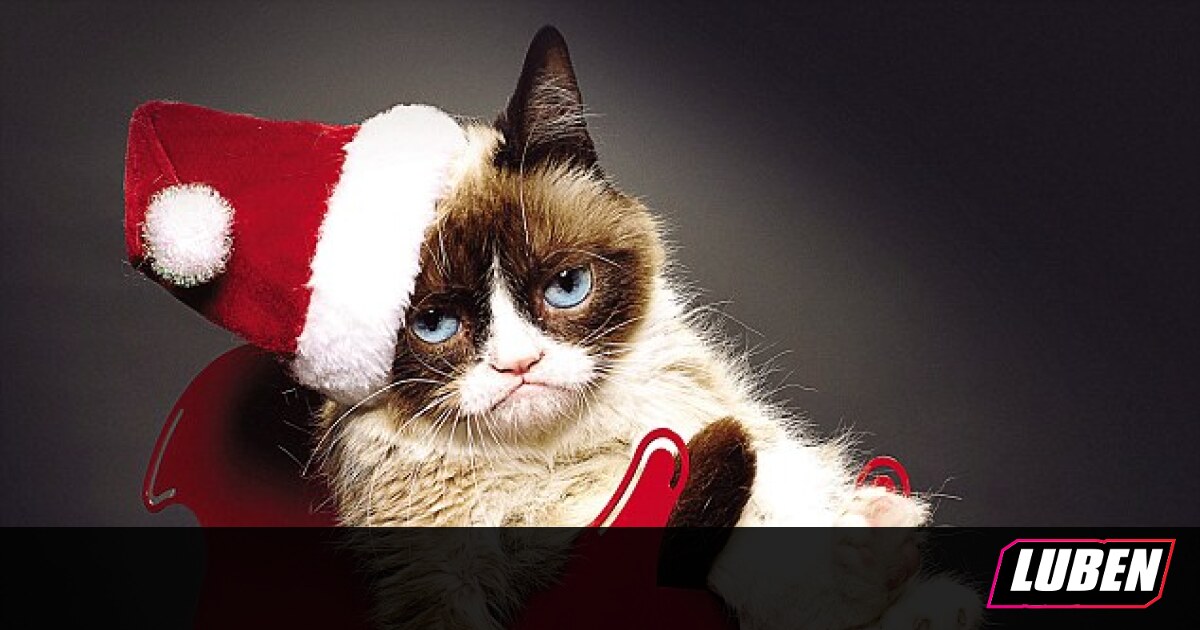 Η “Grumpy Cat” έβγαλε φέτος περισσότερα λεφτά από τον Μάθιου Μακόναχι