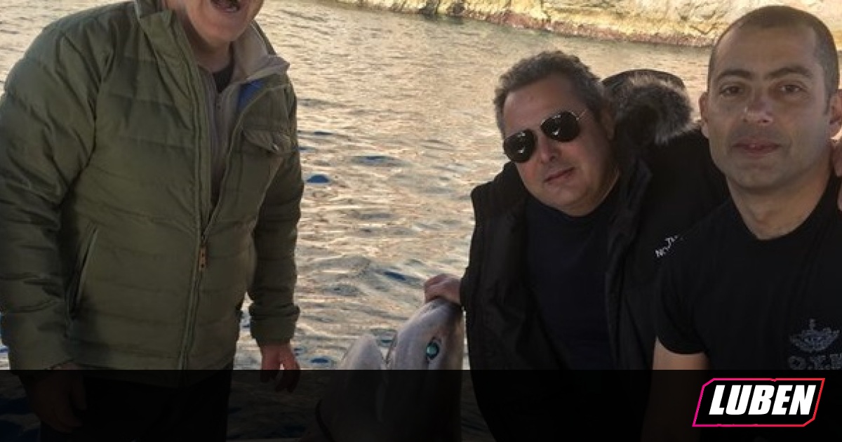 Eντωμεταξύ, ο Πάνος Καμμένος χαριεντίζεται με νεκρό καρχαρια από ...