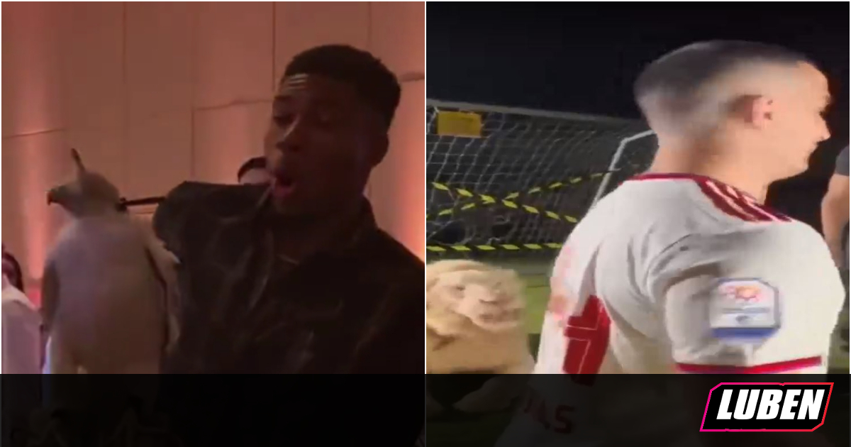 Μανωλά έπαθε ο Αντετοκούνμπο στο Άμπου Ντάμπι, Greek Freak Out τον ...