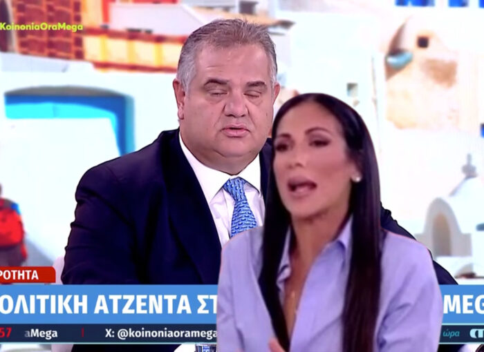 «Θέλετε γλάστρες»: Με βουλευτή της ΝΔ τα πήρε στο κρανίο η Ανθή Βούλγαρη